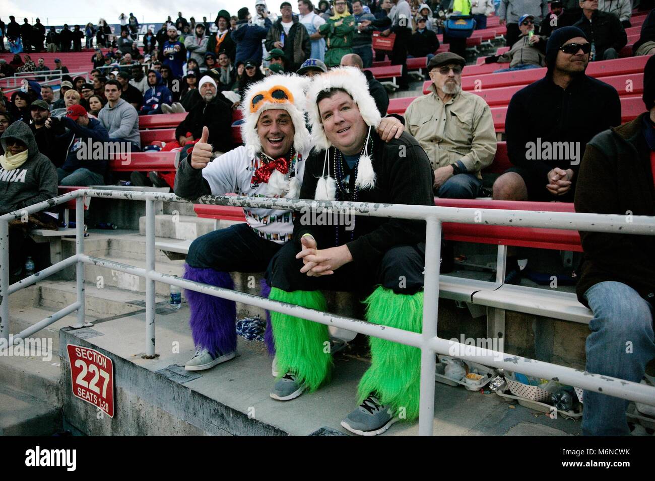 Furry fans hi-res stock photography and images - Alamy