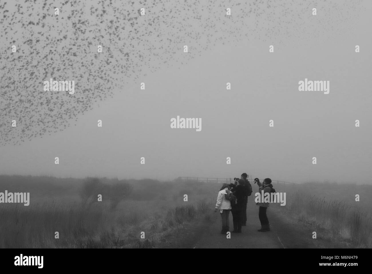 Murky weather Black and White Stock Photos & Images - Alamy