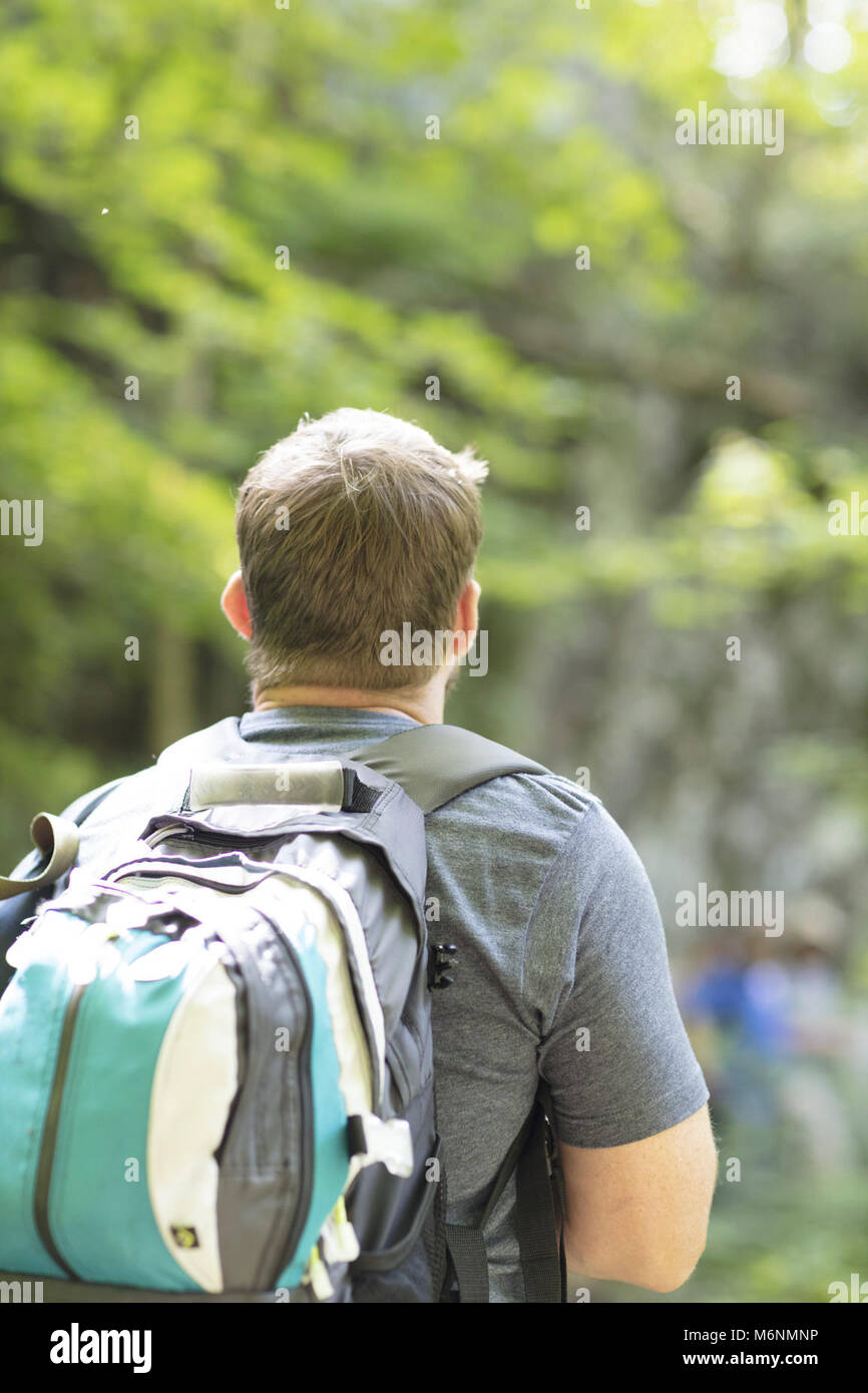 Water Quality Testing Activity Stock Photo - Alamy