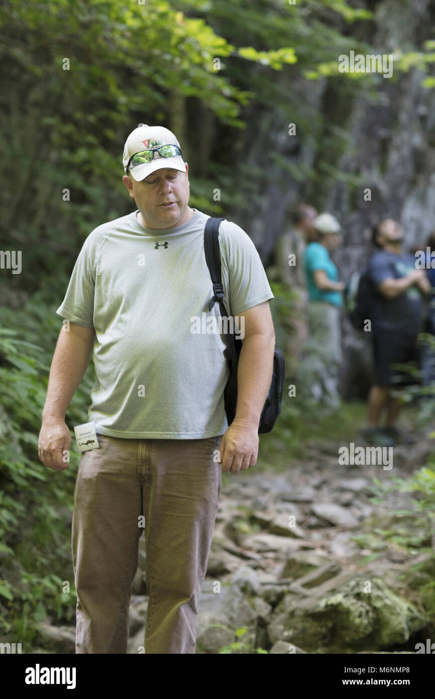 Water Quality Testing Activity Stock Photo - Alamy