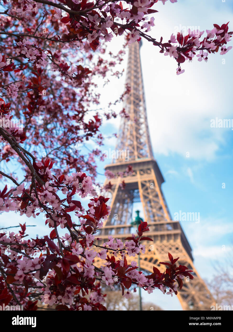 Paris in spring eiffel tower hi-res stock photography and images - Alamy