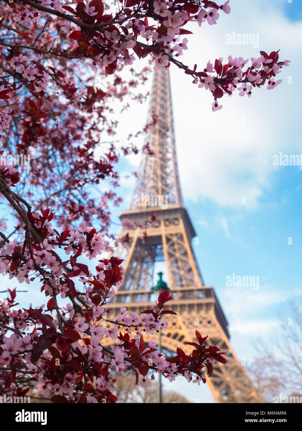 Beautiful spring time in Paris Stock Photo - Alamy