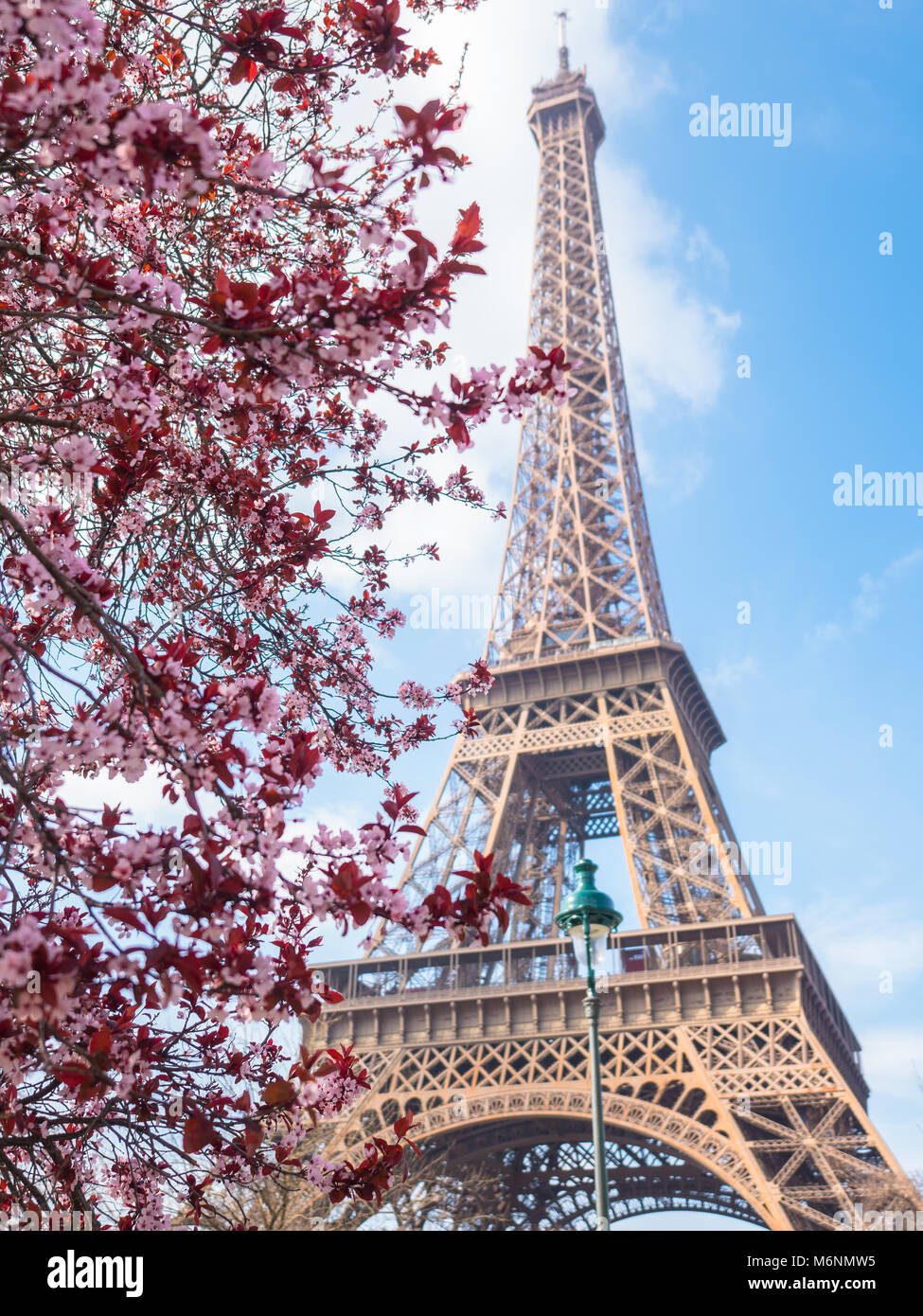 Beautiful spring time in Paris Stock Photo - Alamy
