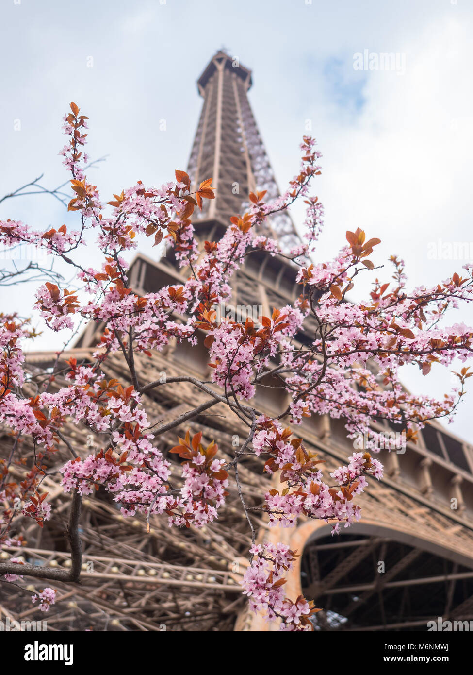 Beautiful spring time in Paris Stock Photo - Alamy