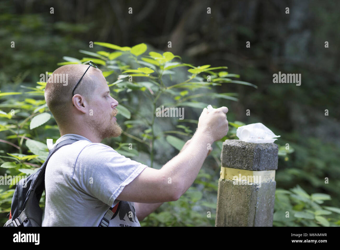 Water Quality Testing Activity Stock Photo - Alamy