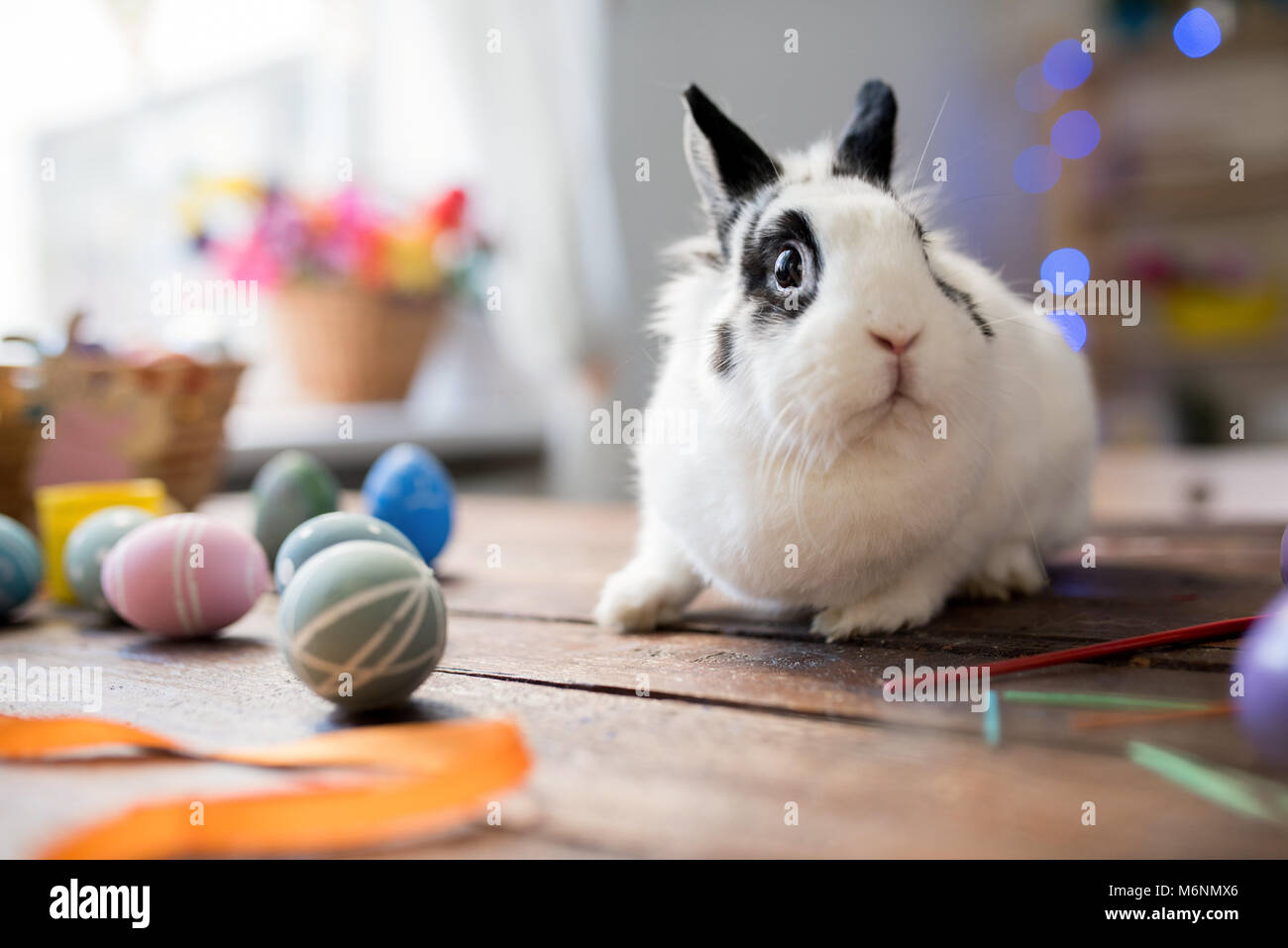 White Easter Bunny Stock Photo - Alamy