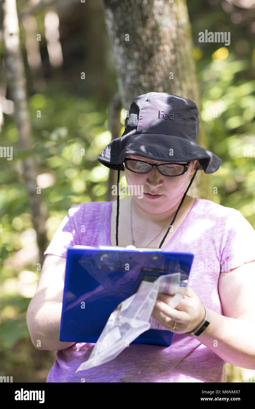 Water Quality Testing Activity Stock Photo - Alamy