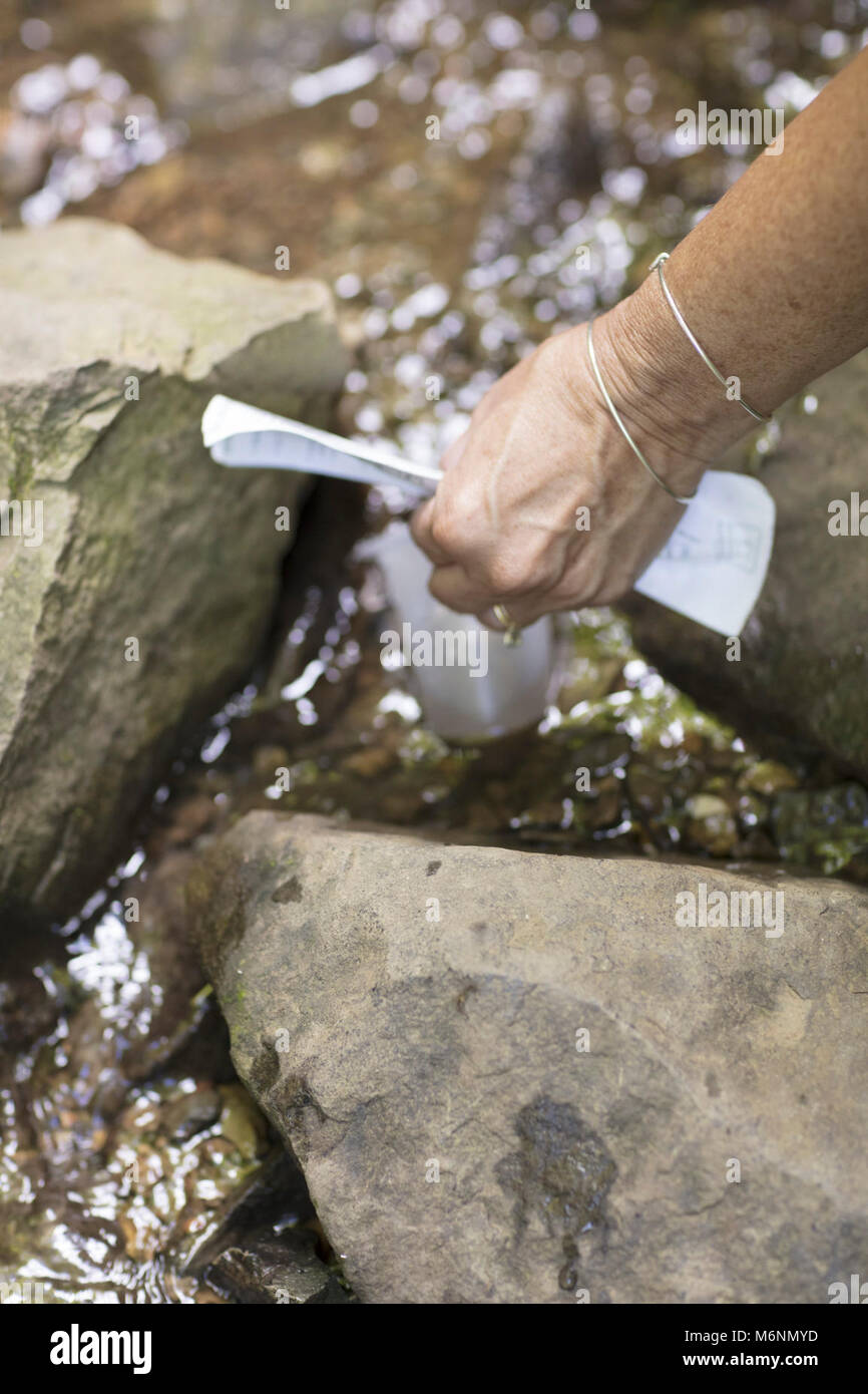 Water Quality Testing Activity Stock Photo - Alamy