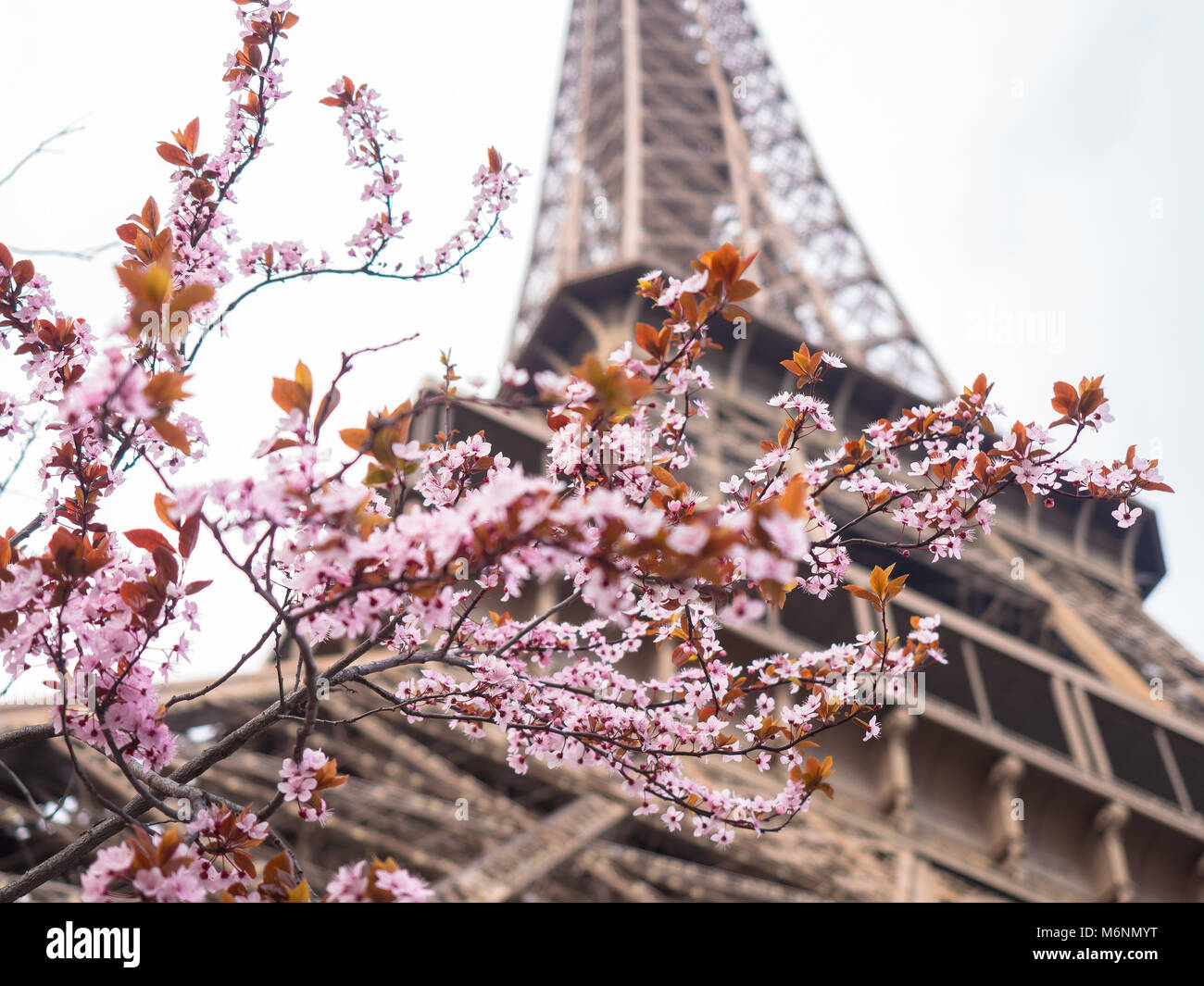 Beautiful spring time in Paris Stock Photo - Alamy