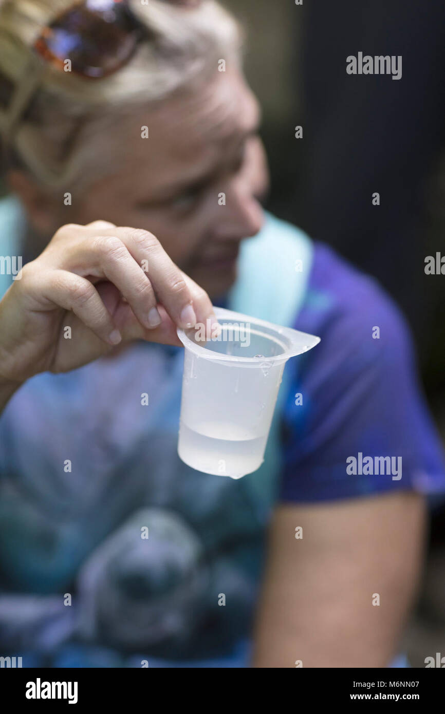 Water Quality Testing Activity Stock Photo - Alamy