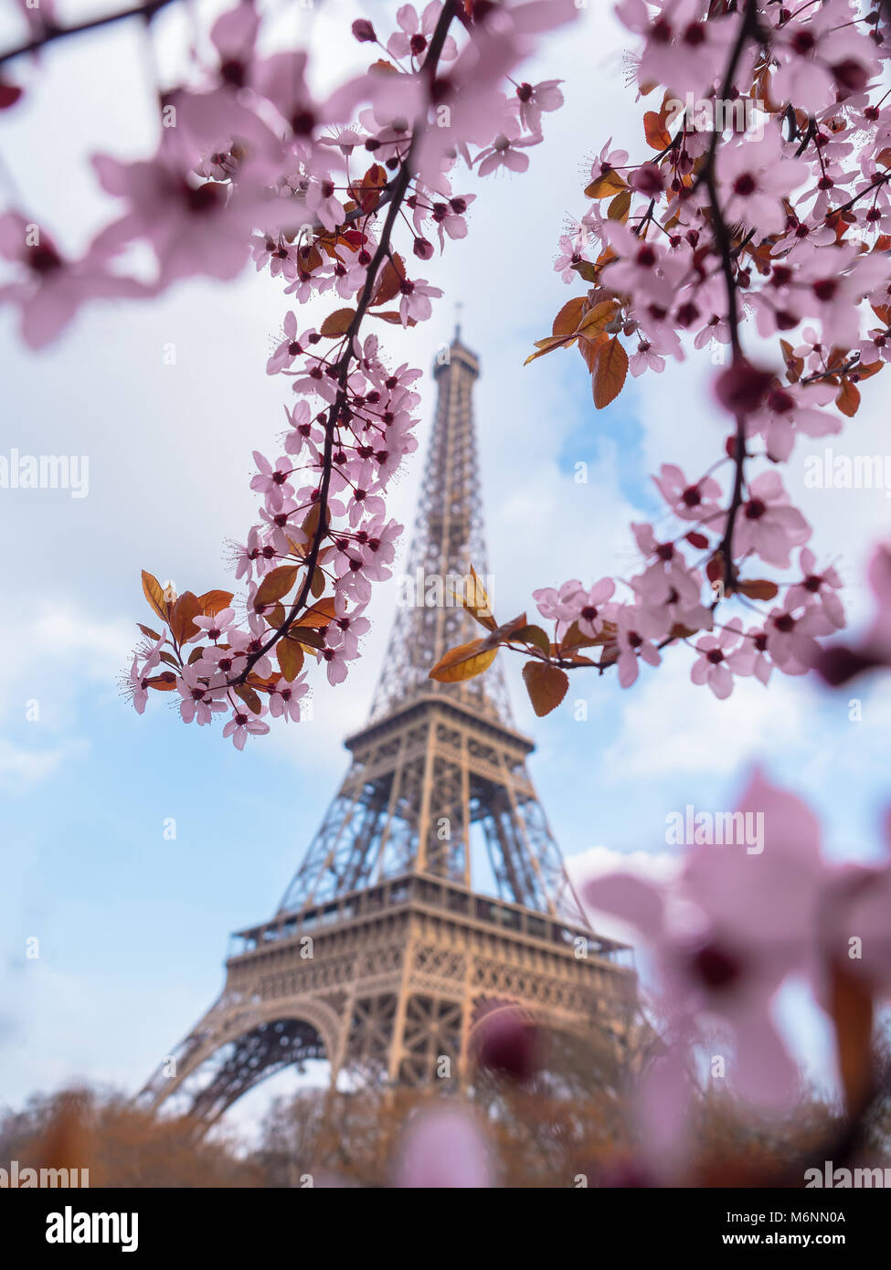 Beautiful spring time in Paris Stock Photo - Alamy