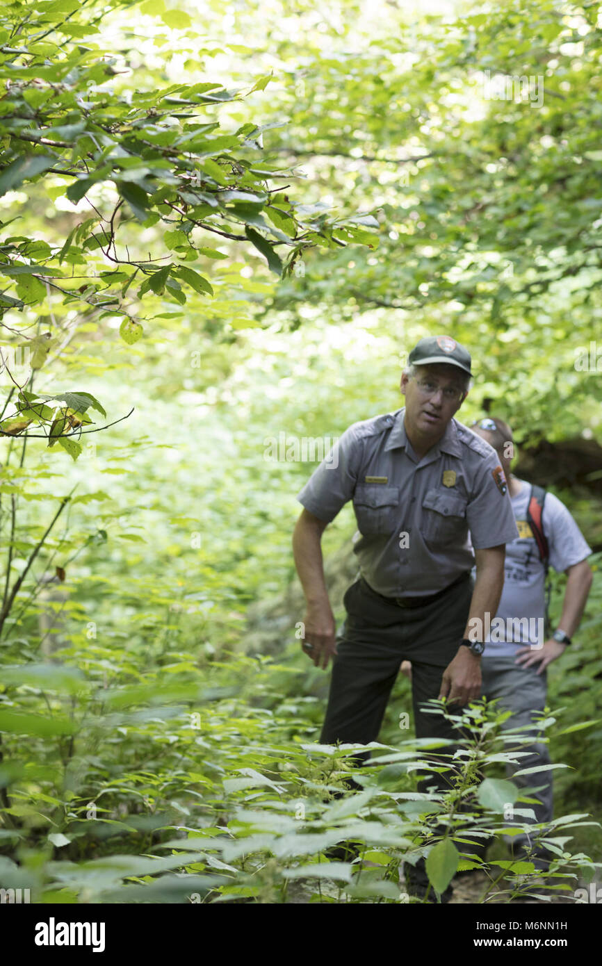 Water Quality Testing Activity Stock Photo - Alamy