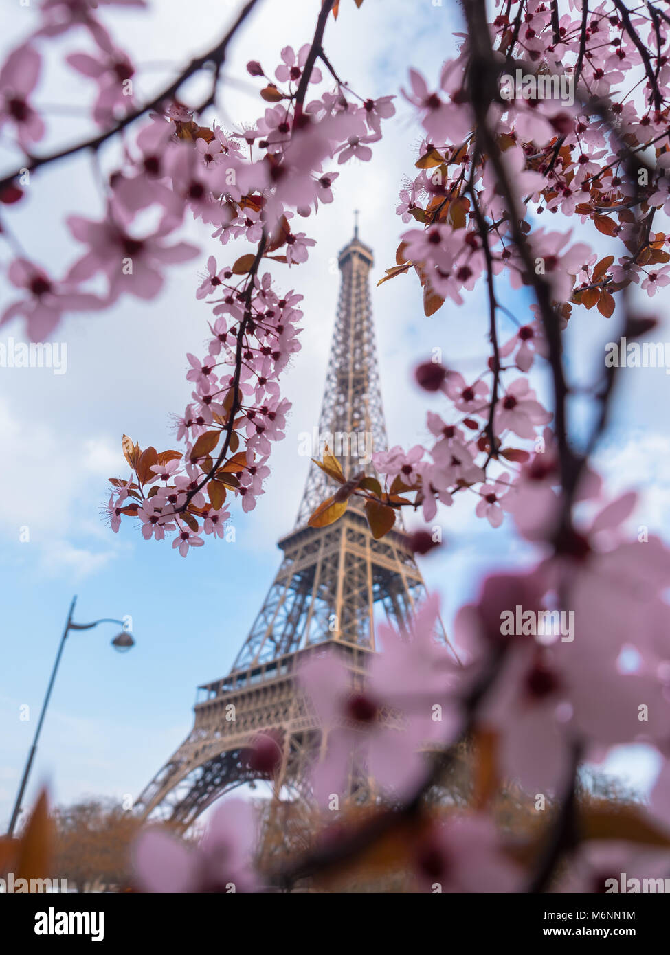 Beautiful spring time in Paris Stock Photo - Alamy