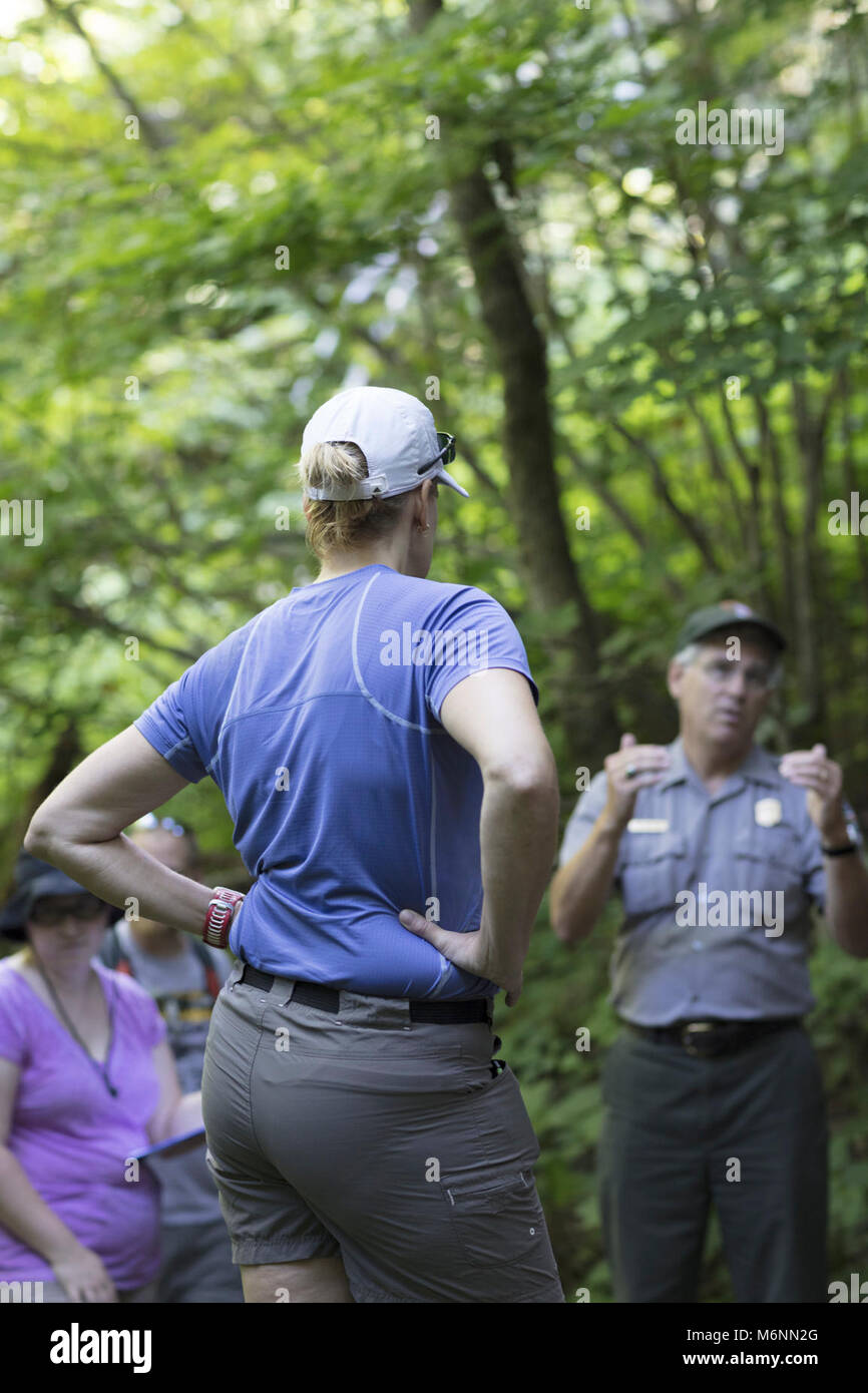 Water Quality Testing Activity Stock Photo - Alamy