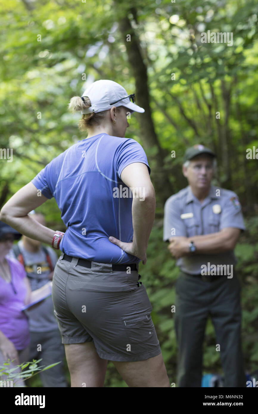 Water Quality Testing Activity Stock Photo - Alamy