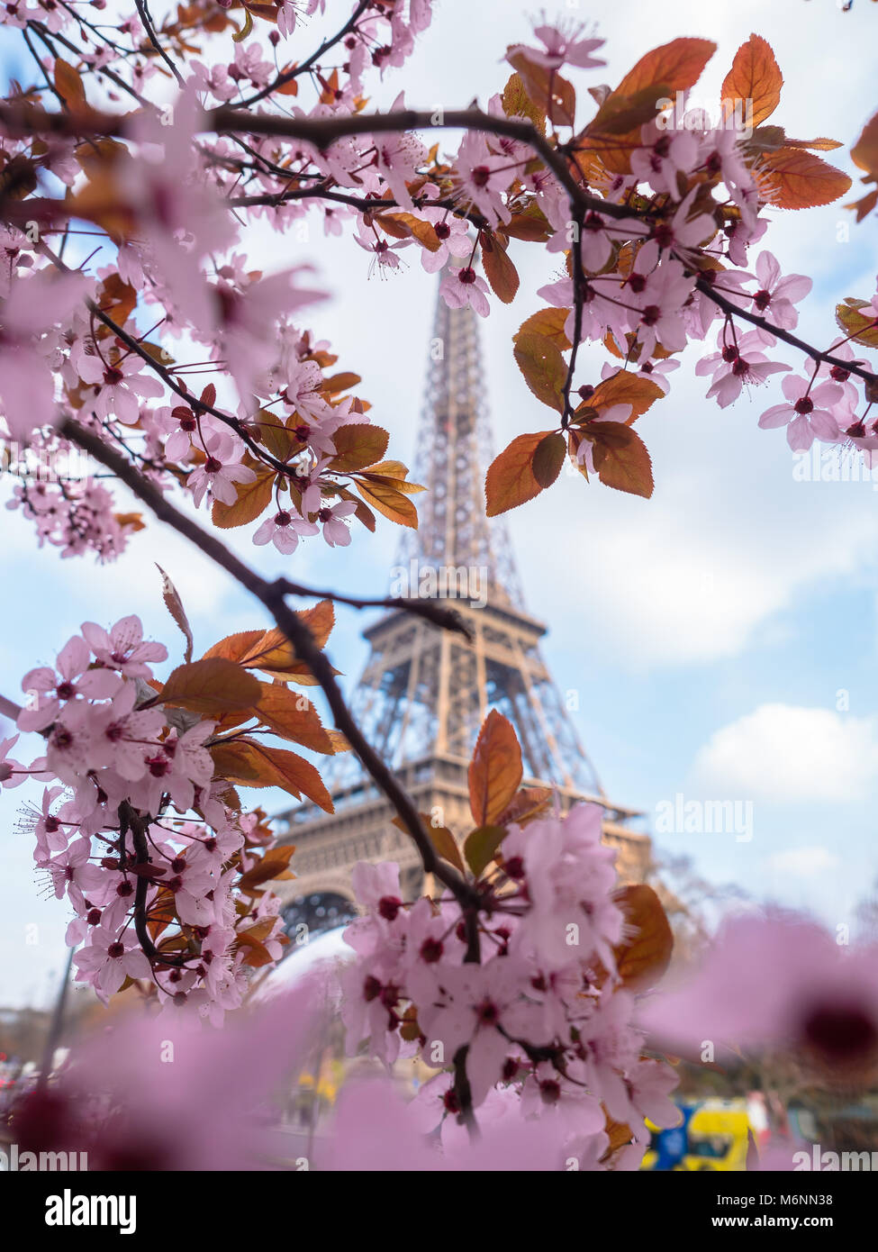 Beautiful spring time in Paris Stock Photo - Alamy