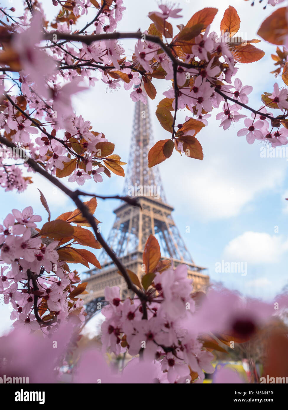 Beautiful spring time in Paris Stock Photo - Alamy