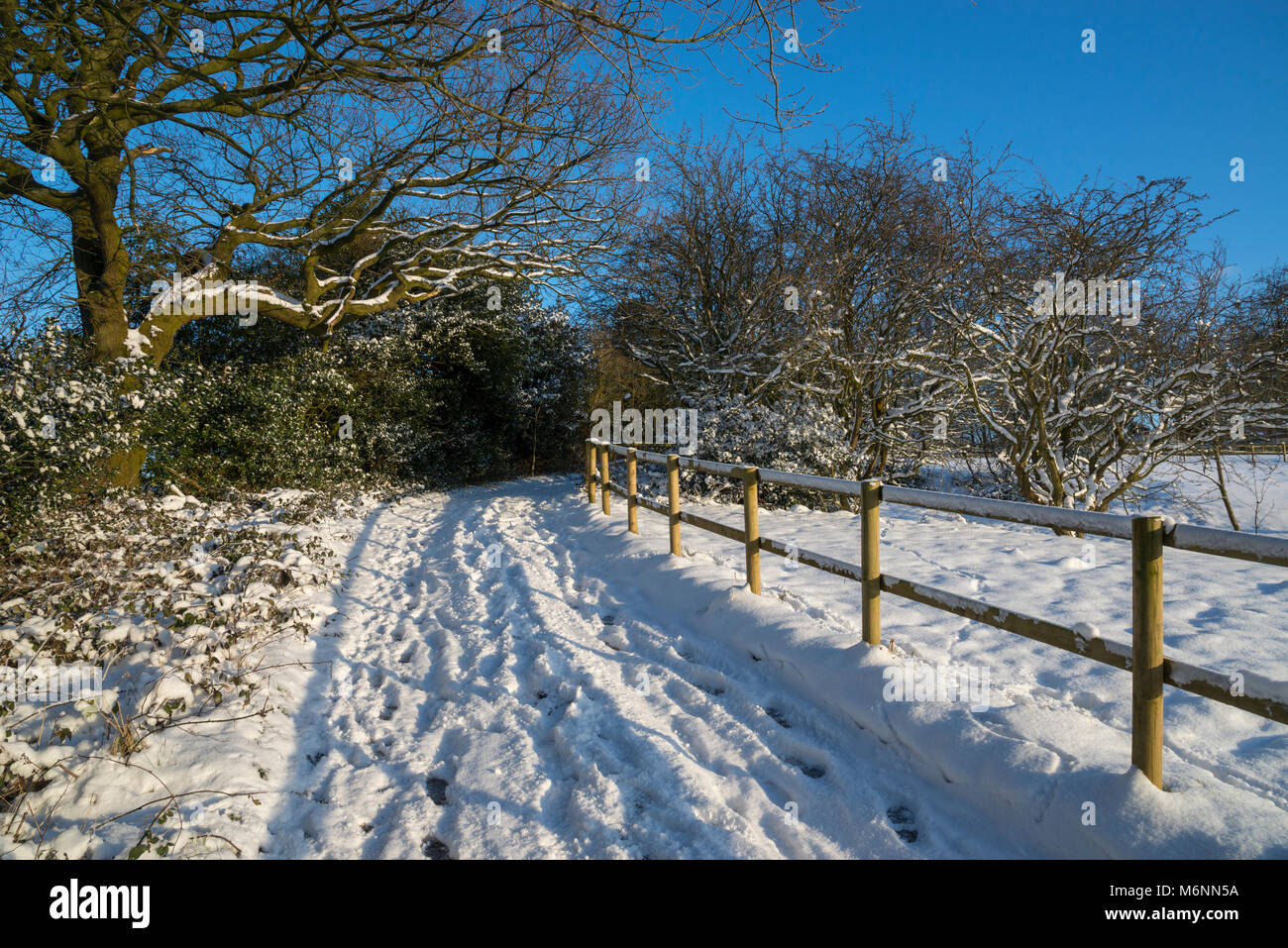 English winter countryside hi-res stock photography and images - Alamy