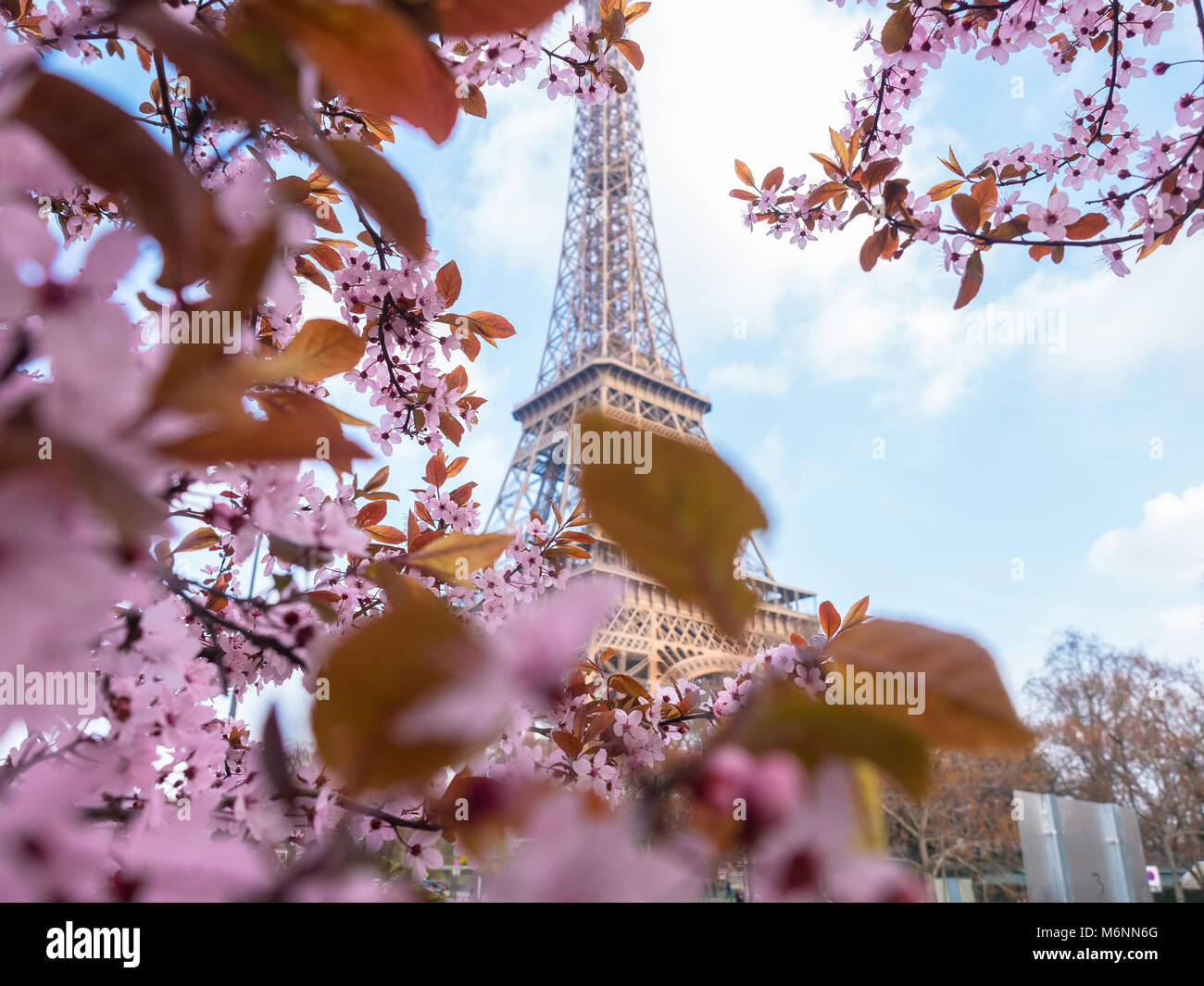 Beautiful spring time in Paris Stock Photo - Alamy