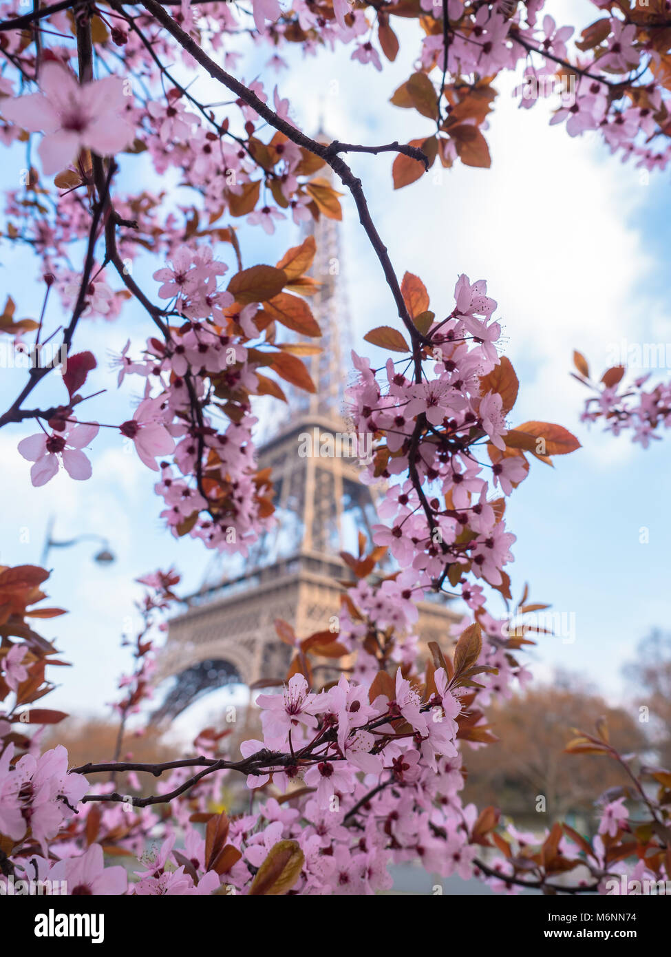 Beautiful spring time in Paris Stock Photo - Alamy