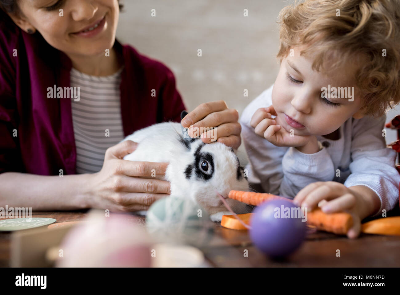 Little Boy Feeding Pet Bunny Stock Photo - Alamy