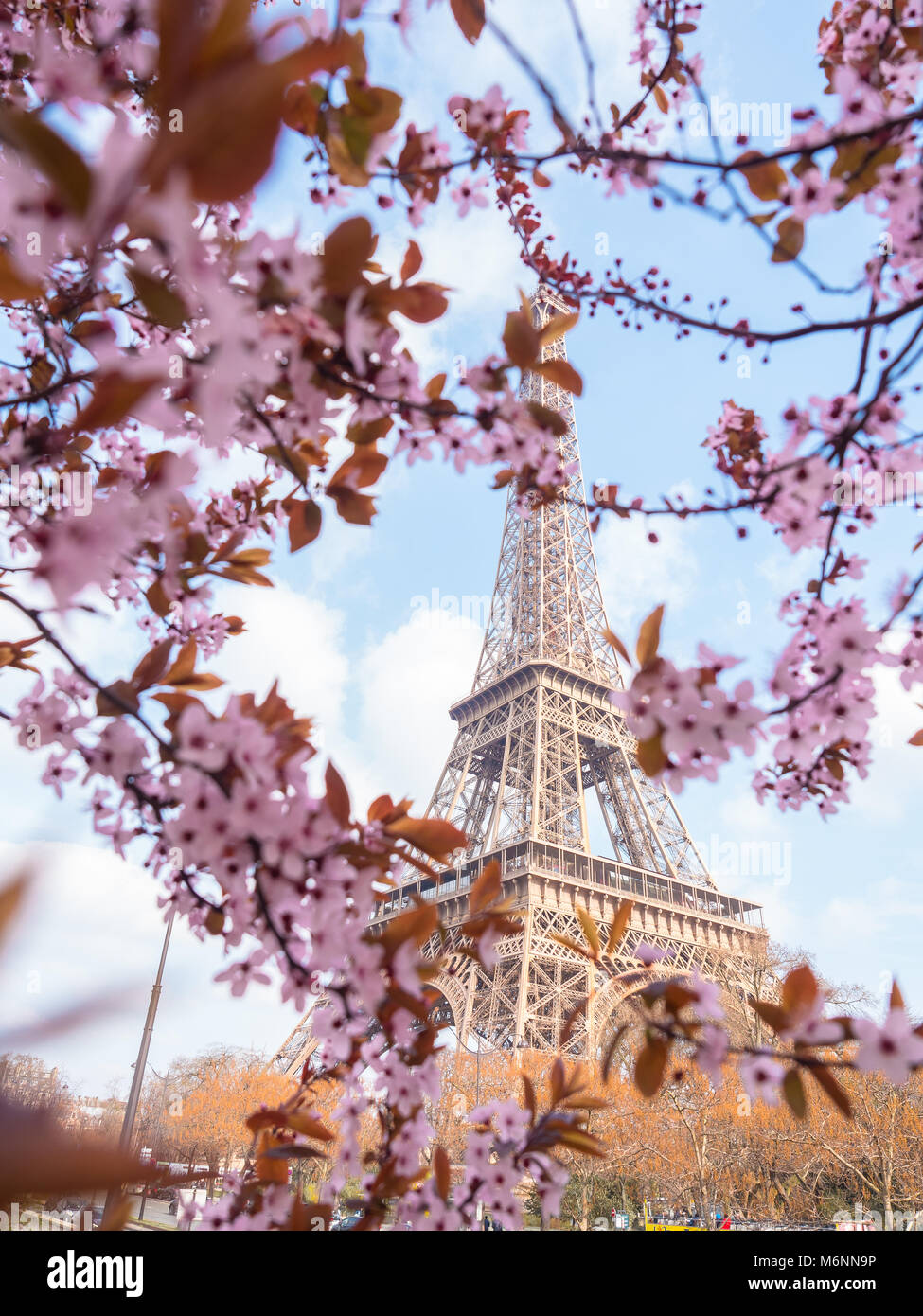 Beautiful spring time in Paris Stock Photo - Alamy