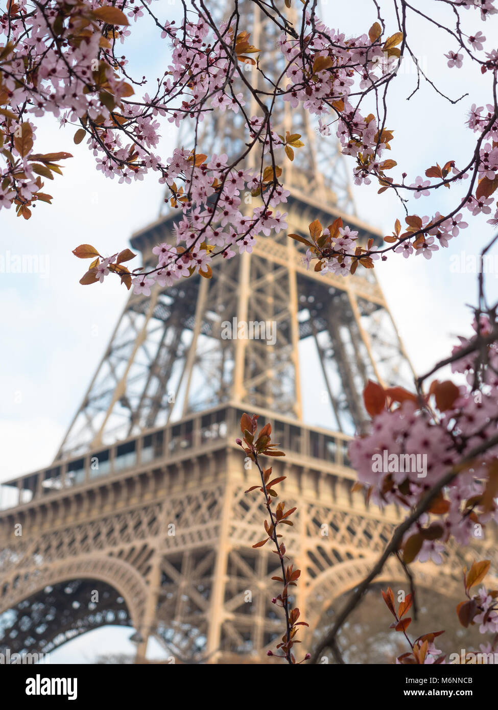 Beautiful spring time in Paris Stock Photo - Alamy