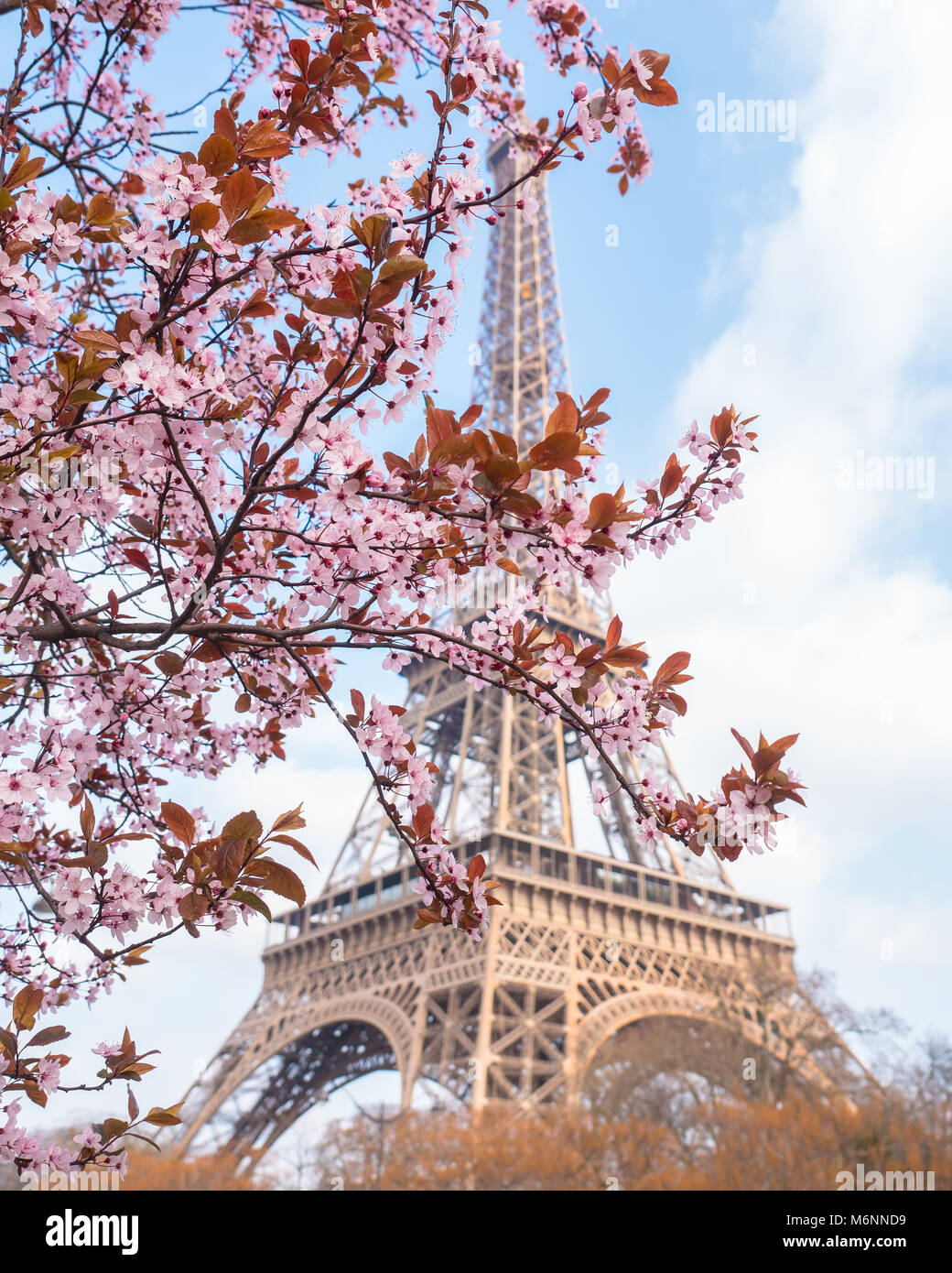 Beautiful spring time in Paris Stock Photo - Alamy