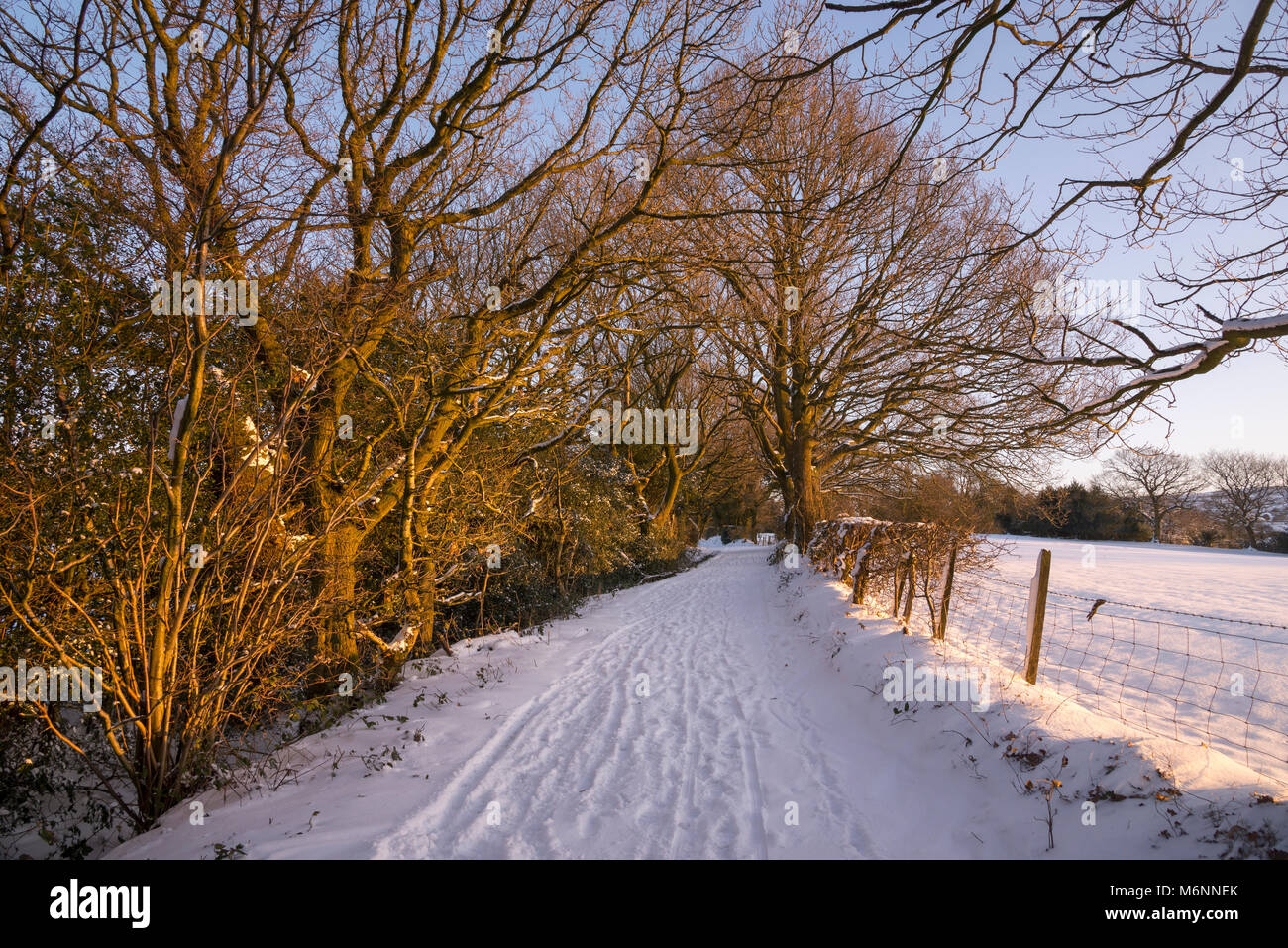 English country lane on a snowy winter afternoon Stock Photo - Alamy
