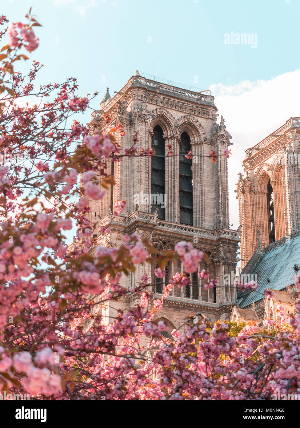 Beautiful spring time in Paris Stock Photo - Alamy