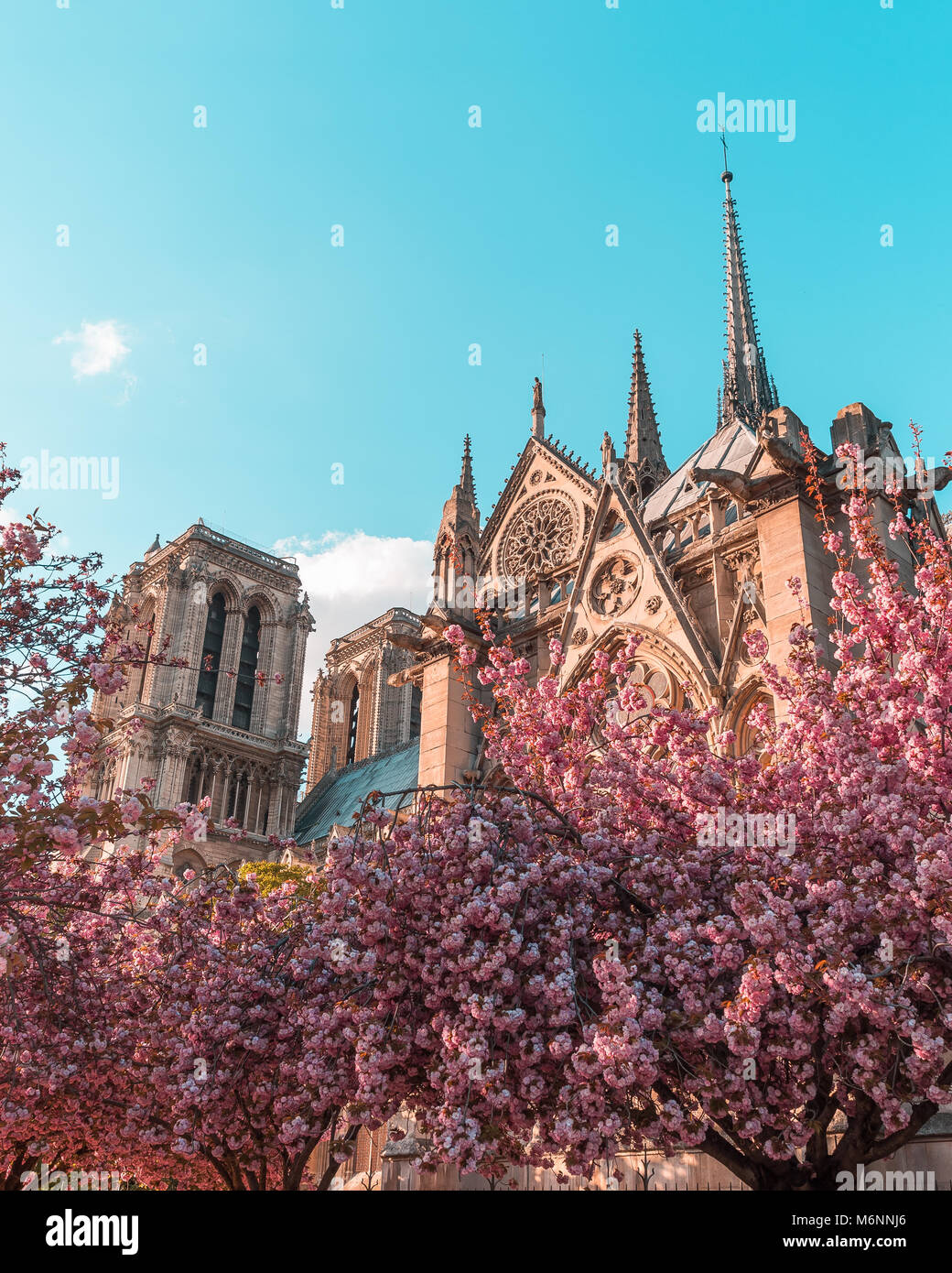 Spring and paris hi-res stock photography and images - Alamy