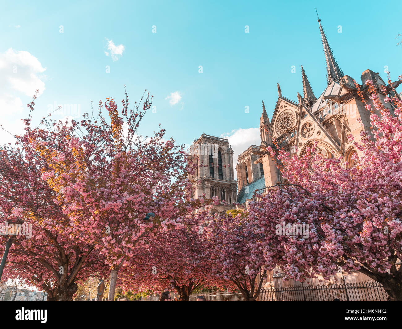 Beautiful spring time in Paris Stock Photo - Alamy