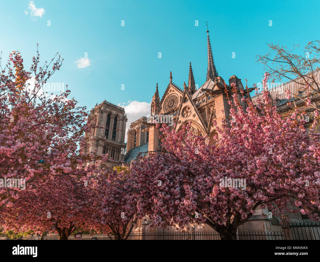 Beautiful spring time in Paris Stock Photo - Alamy