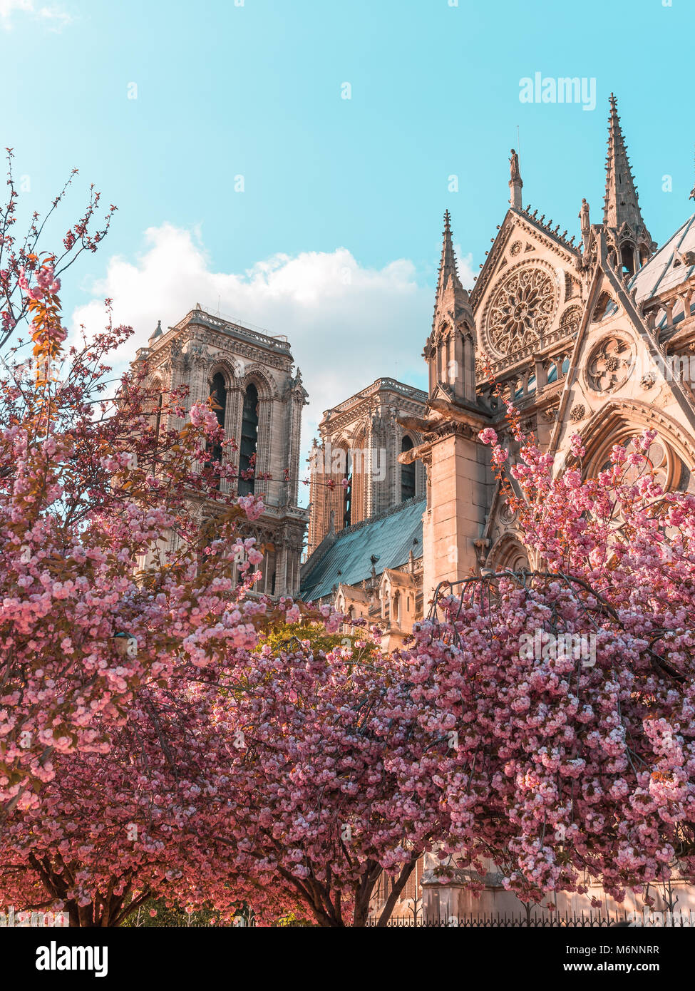 Beautiful spring time in Paris Stock Photo - Alamy