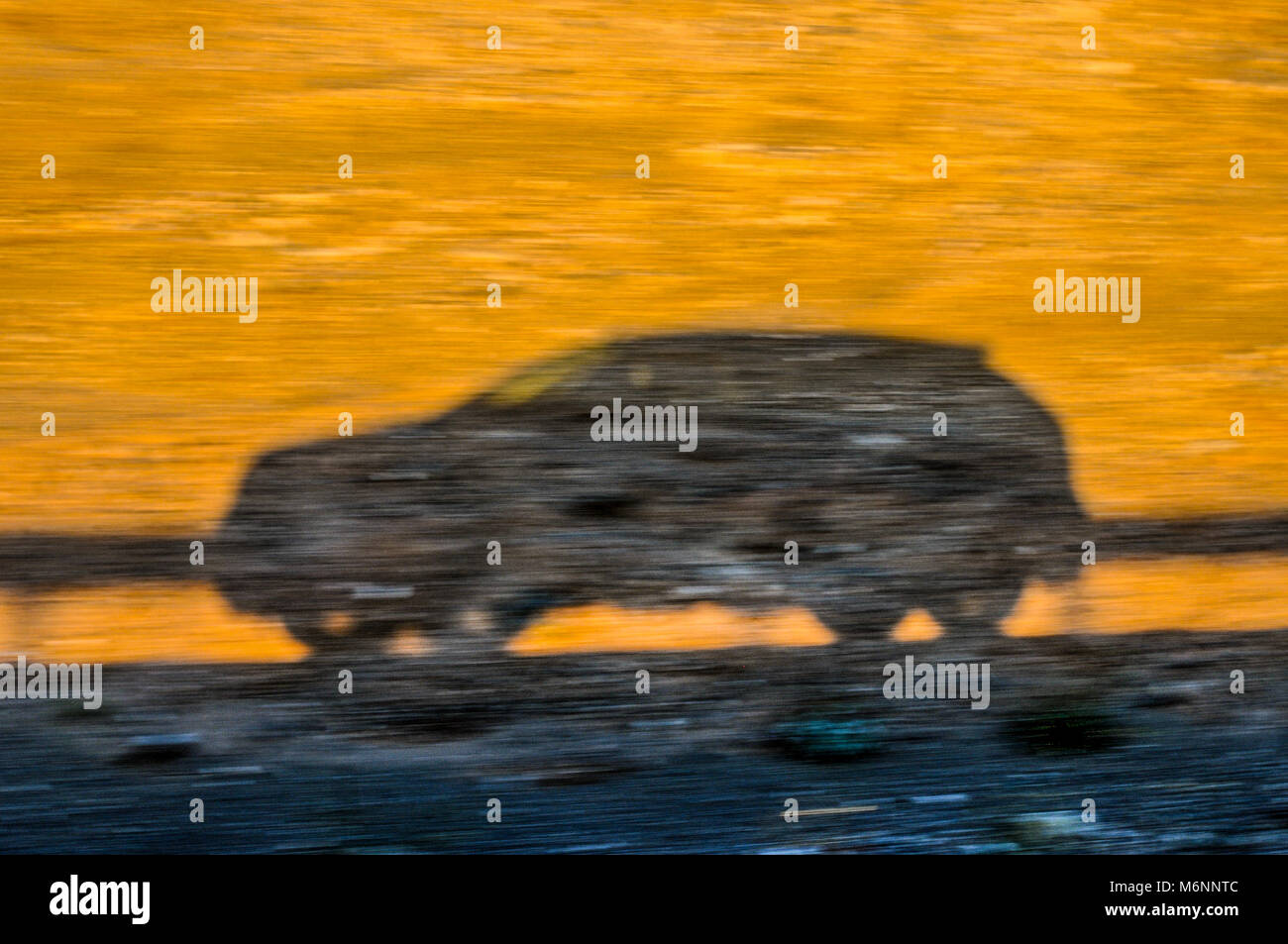 Car shadow silhouette against the cliff wall as the sun goes ...