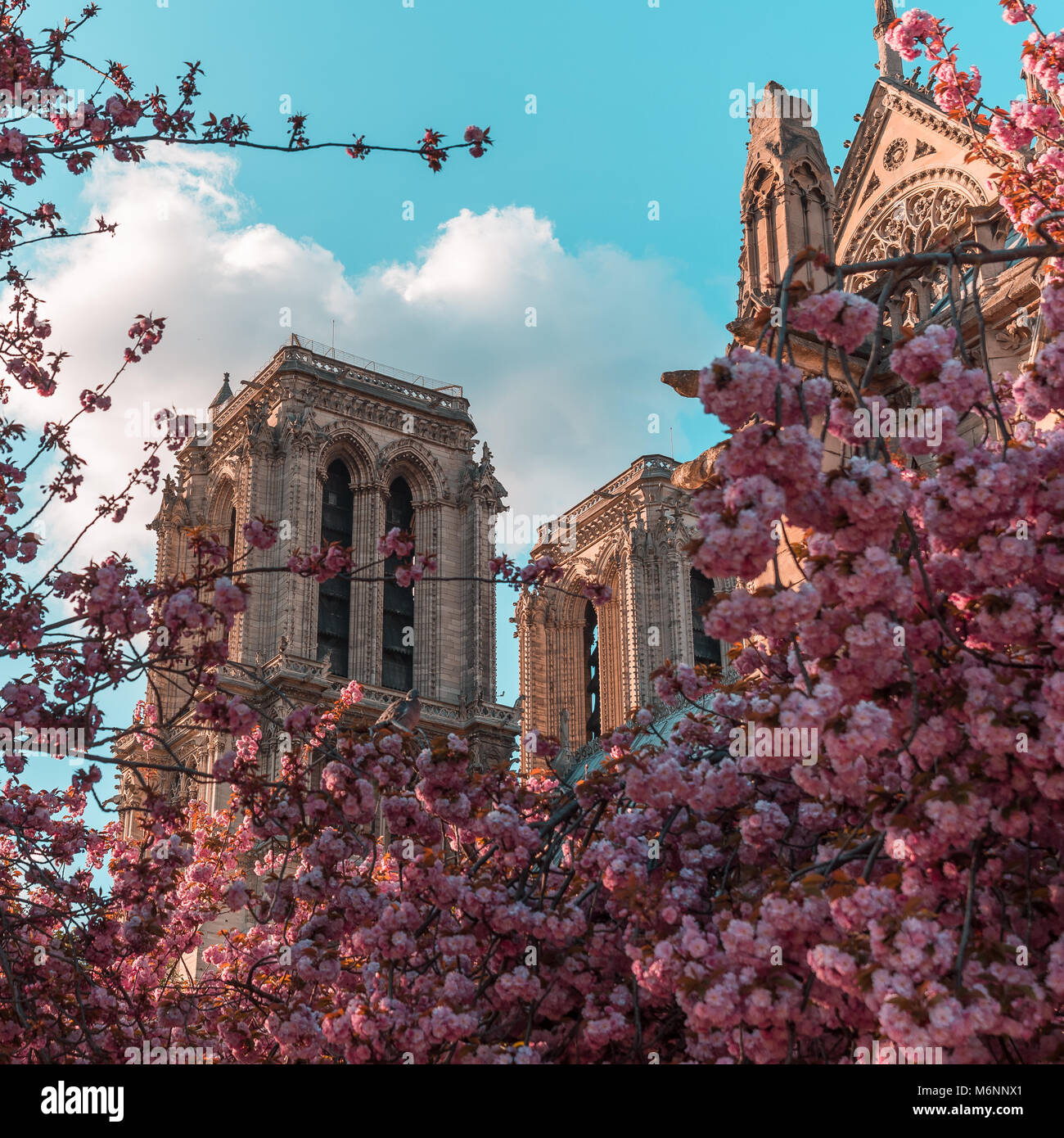 Beautiful spring time in Paris Stock Photo - Alamy