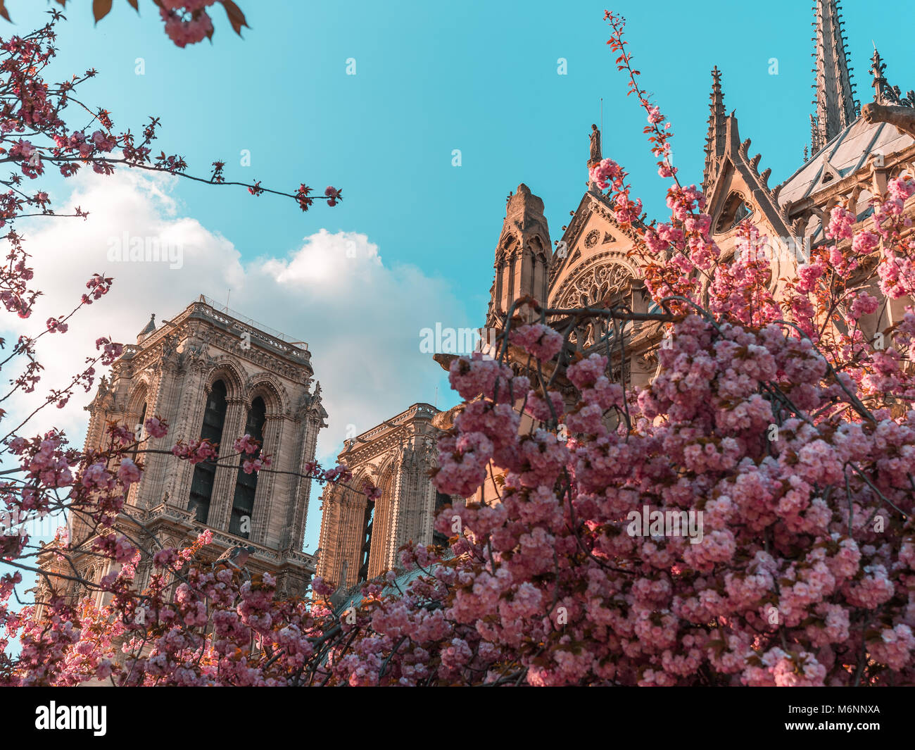 Beautiful spring time in Paris Stock Photo - Alamy