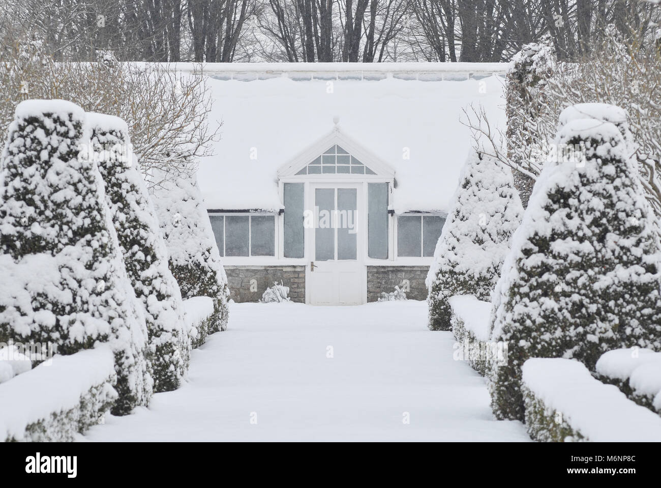 snowy gardens background Stock Photo - Alamy