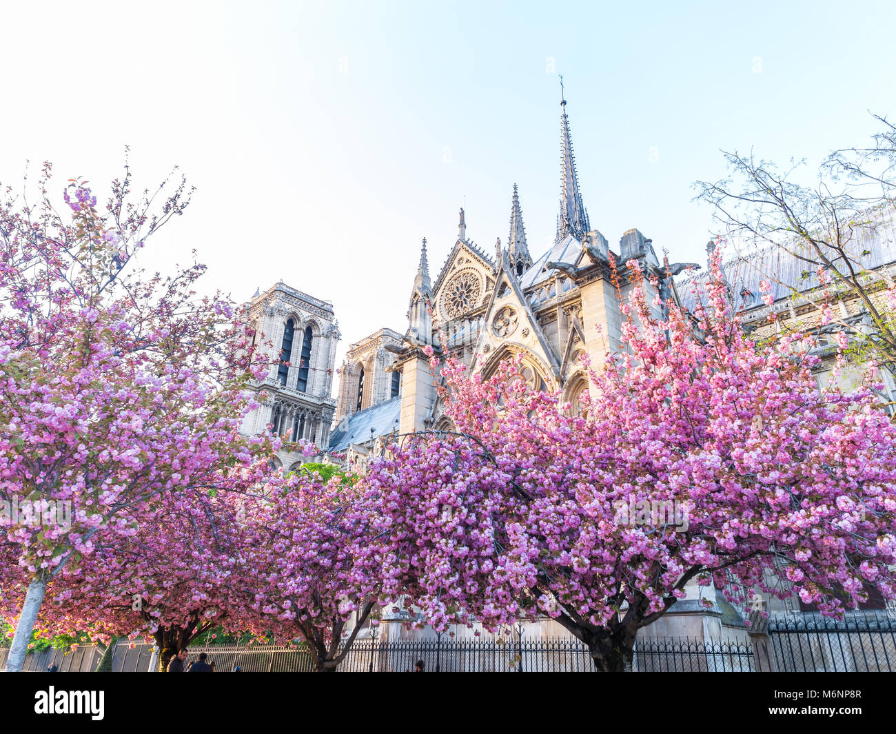 Beautiful spring time in Paris Stock Photo - Alamy