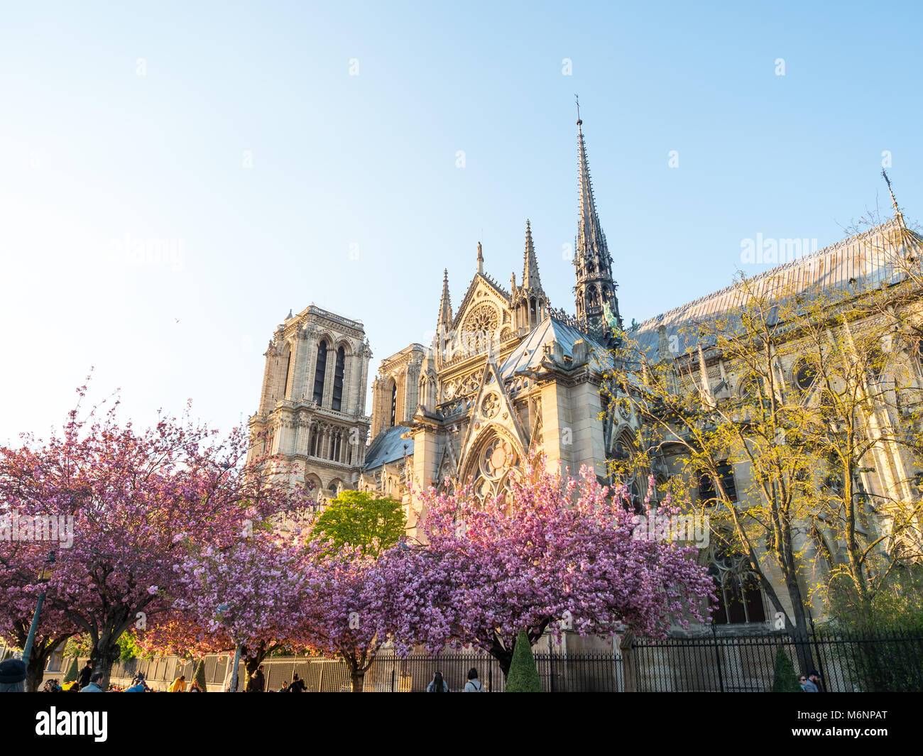Beautiful spring time in Paris Stock Photo - Alamy