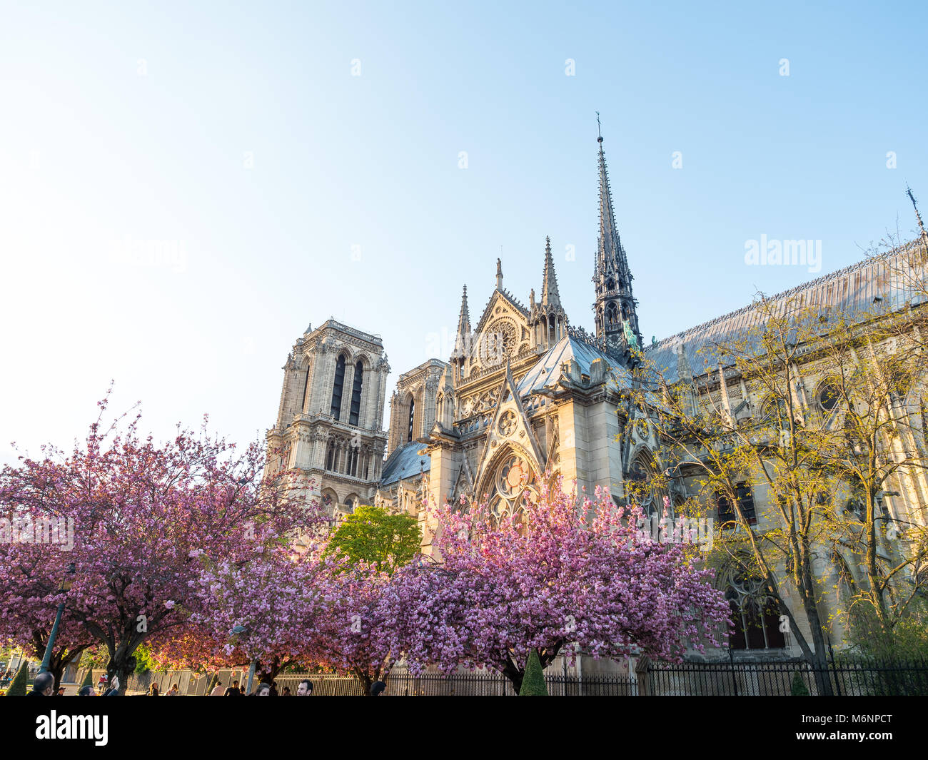 Beautiful spring time in Paris Stock Photo - Alamy