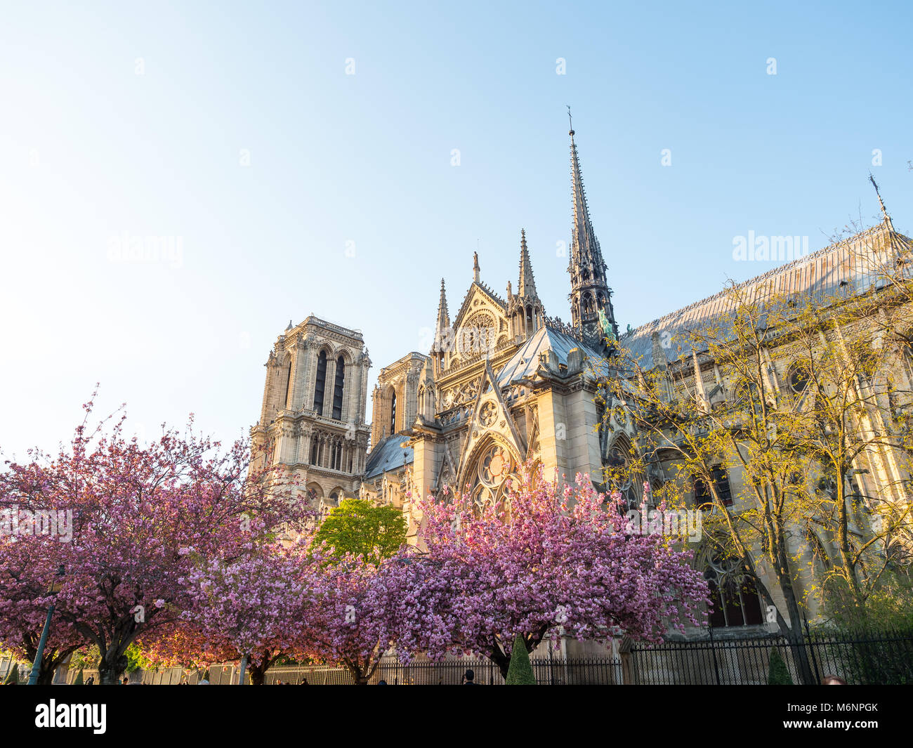 Beautiful spring time in Paris Stock Photo - Alamy