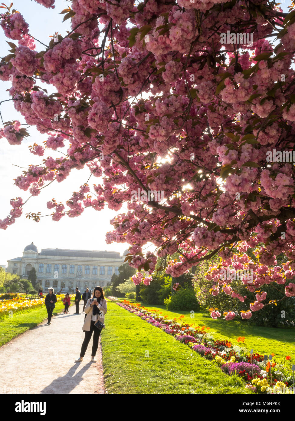 Beautiful spring time in Paris Stock Photo - Alamy