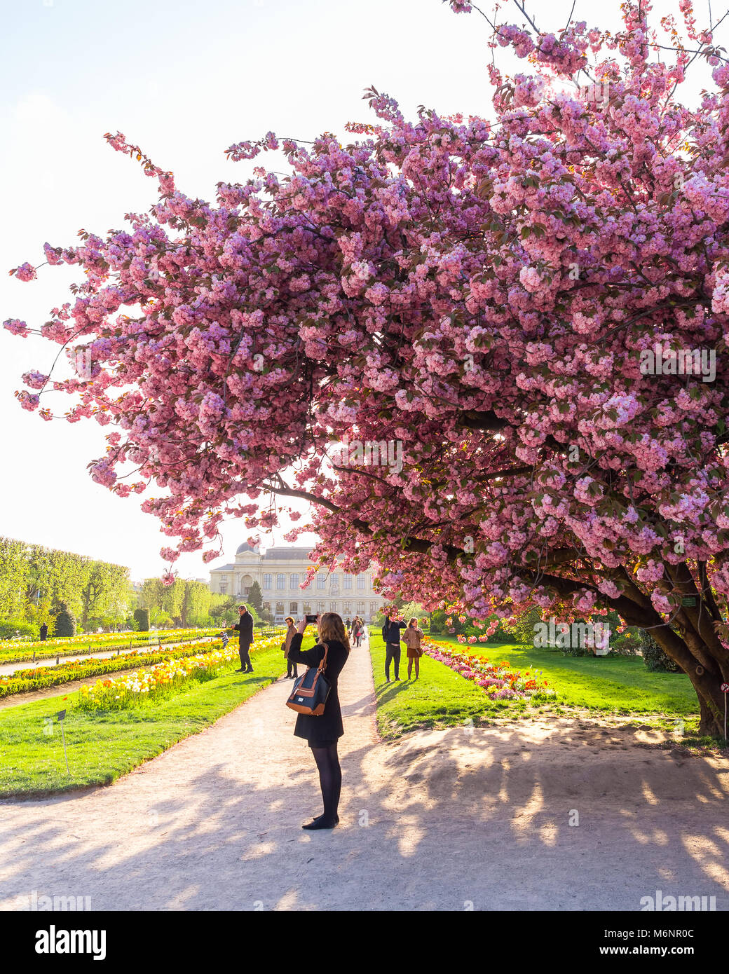 Beautiful spring time in Paris Stock Photo - Alamy