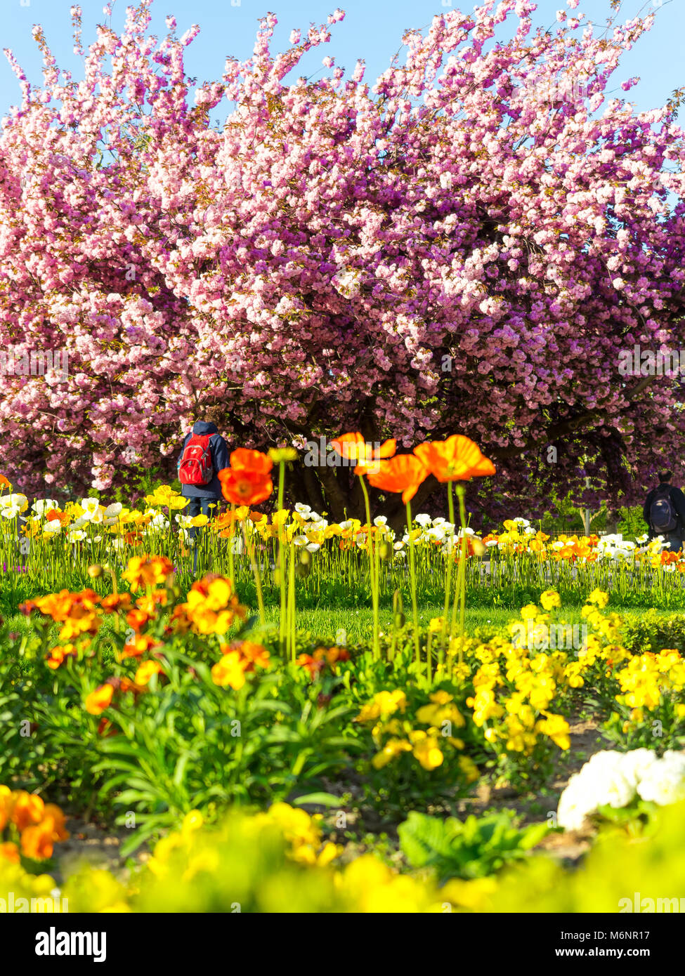 Beautiful spring time in Paris Stock Photo - Alamy