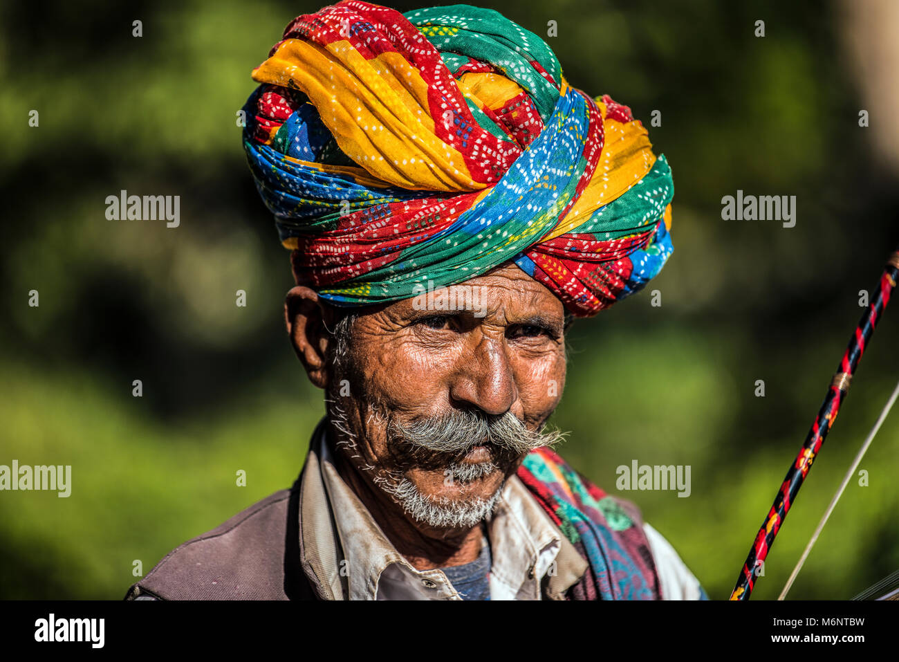 INDIA RAJASTHAN Mandore Garden. Musician playing a traditional ...
