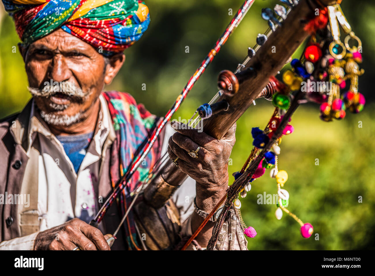 Musical instumen hi-res stock photography and images - Alamy