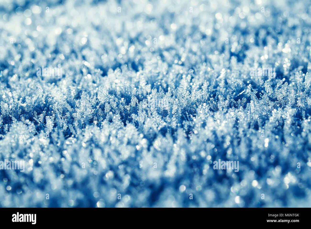 texture festive beautiful natural background of carved shiny blue frost ...