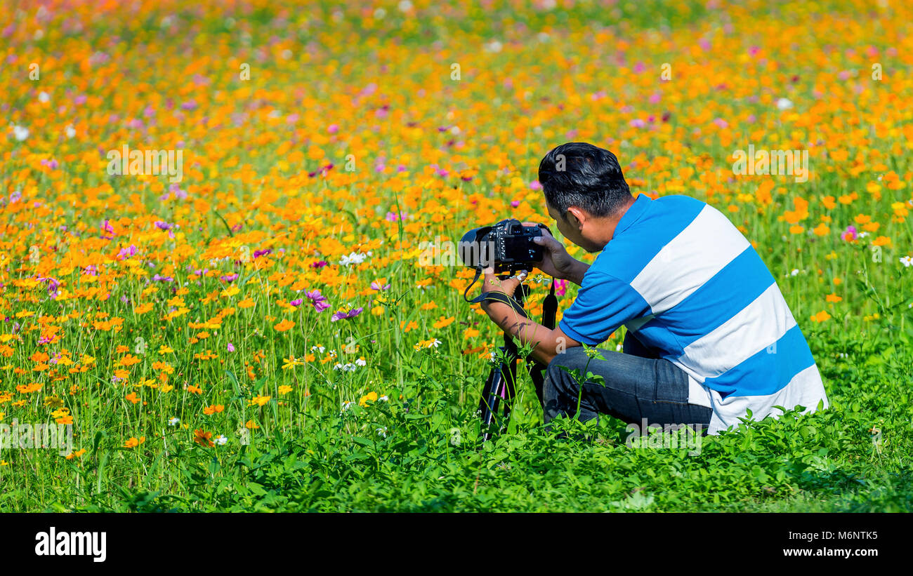 Professional photographer takes photos with camera on tripod at flowers ...