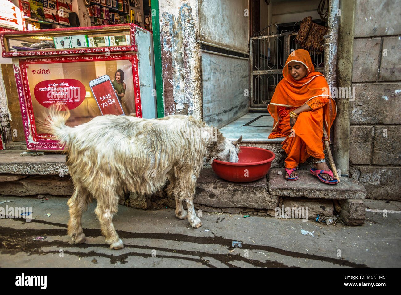 Lady goat hi-res stock photography and images - Alamy